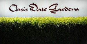 A Visit to the Oasis Date Farm – Thermal, California - Beers and Beans